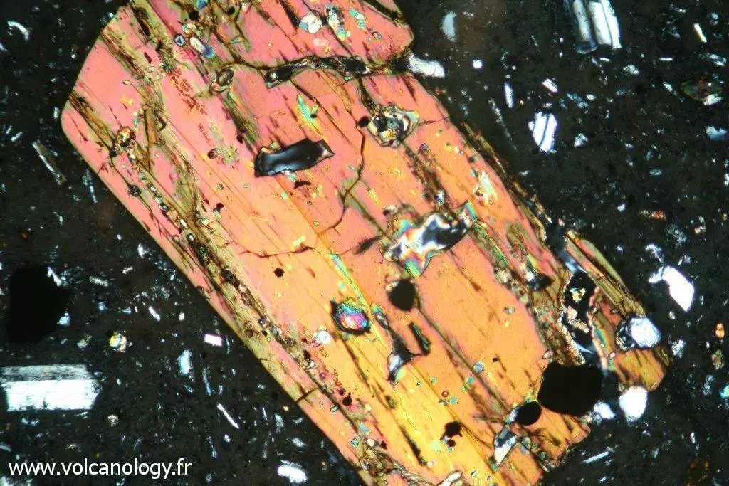 Amphibole Microscope