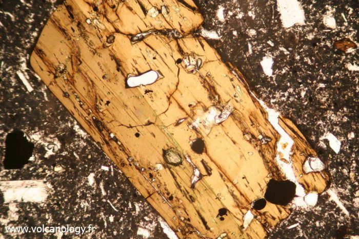 Amphibole brune variété Hornblende (vue au microscope polarisant ...
